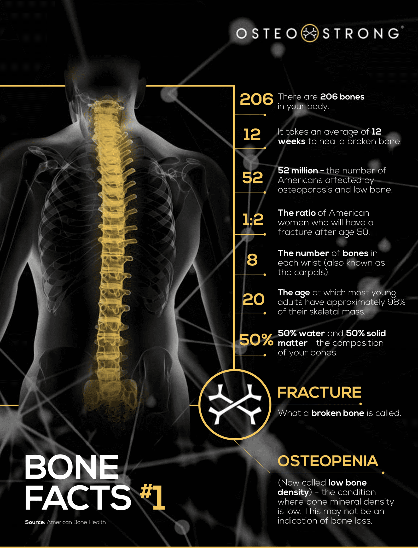 Bone Facts #1 | OsteoStrong